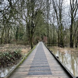 COOK PARK - Updated August 2025 - 48 Photos & 33 Reviews - 17005 SW ...