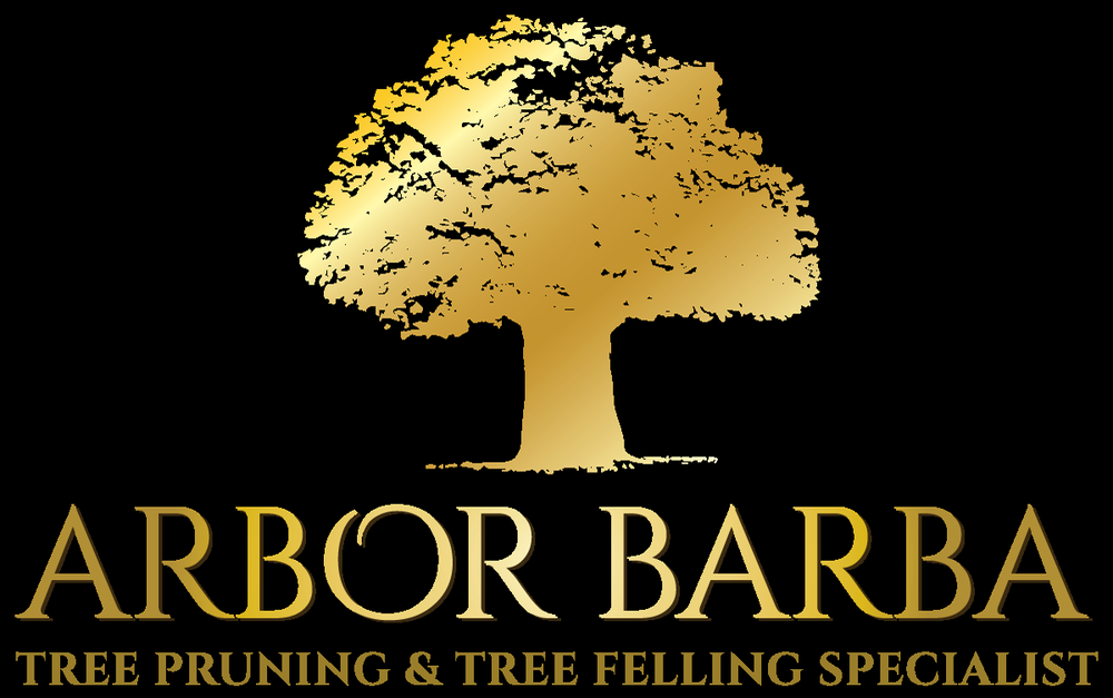 ARBOR BARBA - Updated December 2024 - Pinn Close, London, United ...