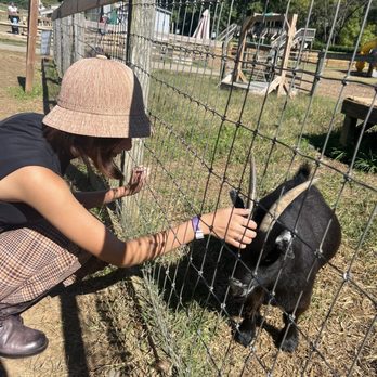 WEBER’S FARM - Updated October 2025 - 302 Photos - 167 Reviews - 2526 ...