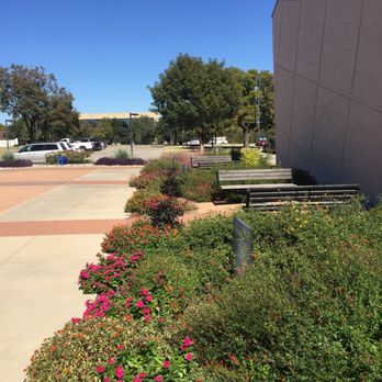 ALLEN PUBLIC LIBRARY - Updated September 2025 - 75 Photos & 46 Reviews ...