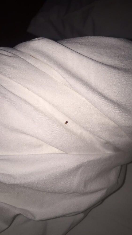 SPANISH TRAILS INN - Updated February 2025 - 1129 Gross Rd, Mesquite ...