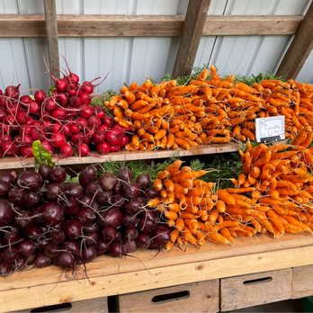 BEECH HILL FARM - Updated December 2025 - 33 Photos & 10 Reviews - 171 ...