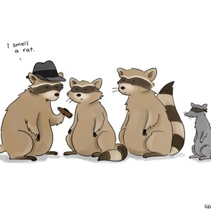 SPIDEXX PEST CONTROL - Updated June 2025 - 14 Photos - 5625 State Farm ...