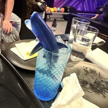 ALBATROSS - Updated January 2026 - 131 Photos & 55 Reviews - 991 US Rte ...