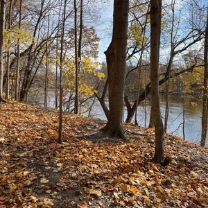 WOLDUMAR NATURE CENTER - Updated September 2025 - 24 Photos - 5739 Old ...