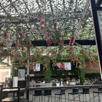 HIGHKEY RAINFOREST ROOFTOP - Updated March 2025 - 335 Photos & 187 ...