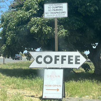 SELVA COFFEE HOUSE - Updated May 2024 - 319 Photos & 107 Reviews - 3535 ...