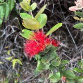 CARLTON YUEN, MD - Updated September 2025 - 28 Reviews - 1029 Kapahulu ...