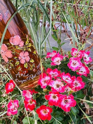 DAVECO BEER WINE AND SPIRITS - BRIGHTON - Updated June 2025 - 18 Photos ...