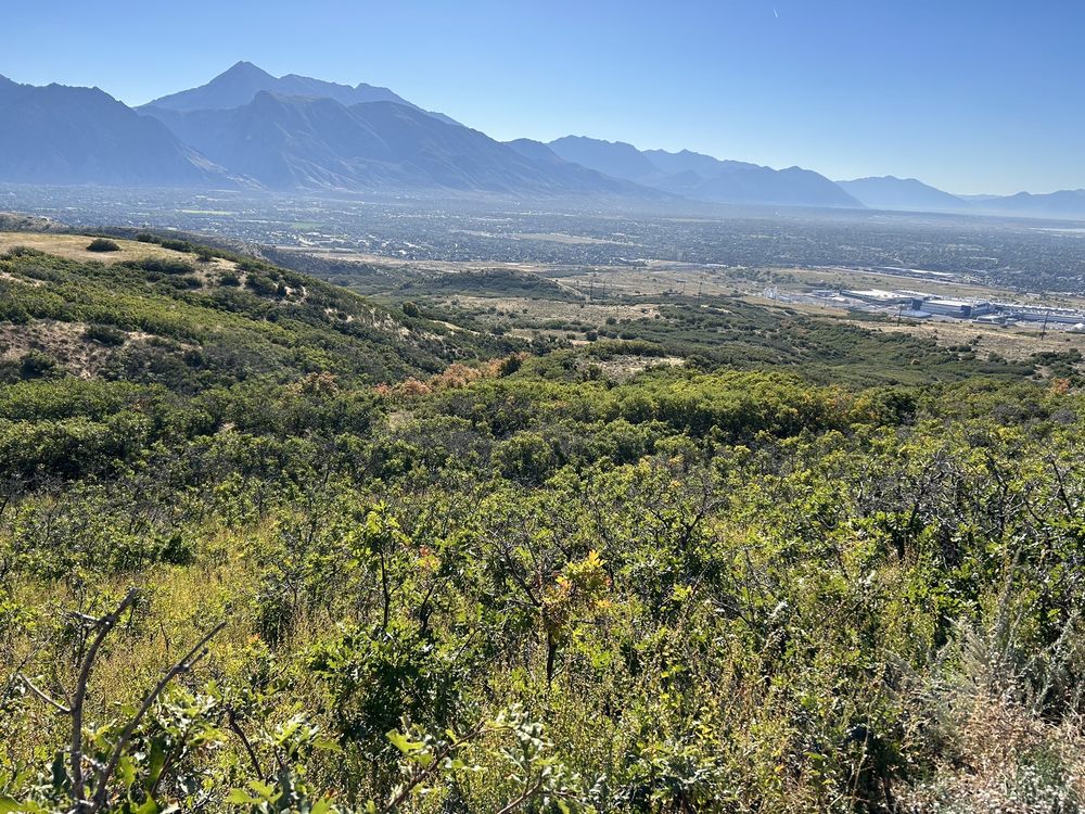 BROOKSIDE TRAIL HEAD - Updated June 2025 - 10 Photos - Brookside Dr ...