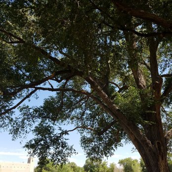 BACHECHI OPEN SPACE - Updated January 2026 - 32 Photos - 9521 Rio ...