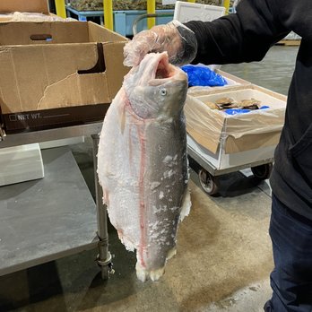 PACIFIC FRESH FISH - Updated August 2025 - 84 Photos & 58 Reviews - 700 ...