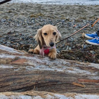 ED MUNRO SEAHURST PARK - Updated August 2025 - 235 Photos & 59 Reviews ...