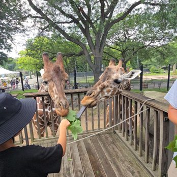 MILWAUKEE COUNTY ZOO - Updated May 2025 - 927 Photos & 288 Reviews ...