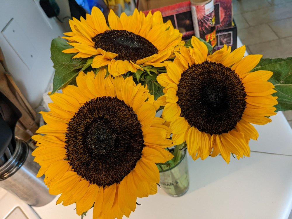 ISOM’S ORCHARD - 25 Photos - 24012 US Hwy 72 E, Athens, AL - Yelp