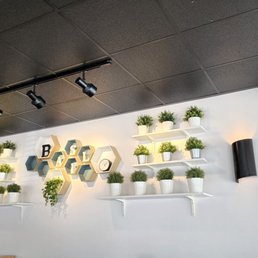 BASIL AUTHENTIC VIETNAMESE CUISINE - Updated July 2025 - 397 Photos ...