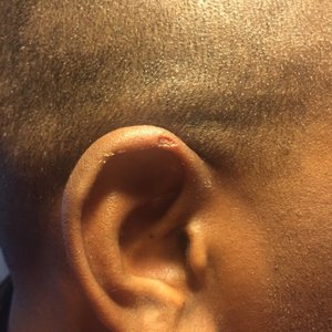 SHAVING GRACE BARBER SHOP - 80 Photos & 397 Reviews - 4408 N Miller Rd ...