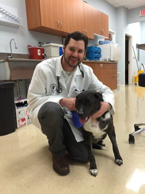 COUNTY LINE VETERINARY HOSPITAL - Updated January 2026 - 48 Photos & 21 ...