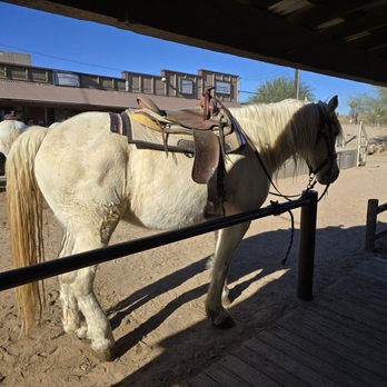 PONDEROSA STABLES - Updated March 2025 - 285 Photos & 218 Reviews ...