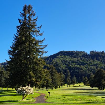 DEL NORTE GOLF COURSE - Updated December 2025 - 23 Photos - 130 Club Dr ...