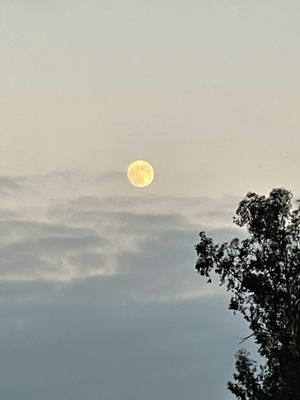 RIVERBOTTOM PARK - Updated October 2025 - 16 Photos - Fresno ...