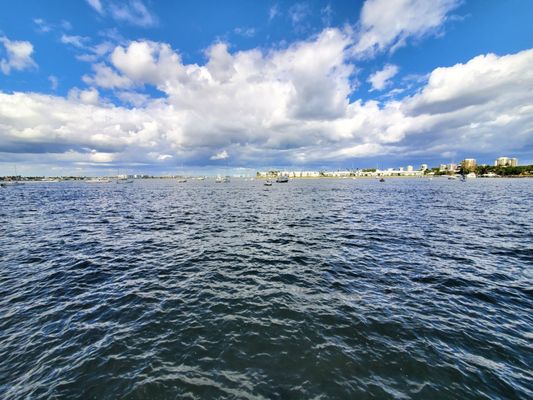 PHIL FOSTER PARK - Updated December 2024 - 124 Photos & 27 Reviews ...