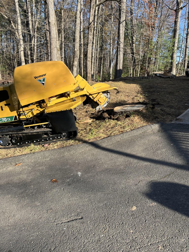 STUMP BUSTERS - Updated January 2026 - Request a Quote - 14 Photos ...