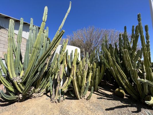 AGRITOPIA with 34 Reviews & 94 Photos - 3000 E Ray Rd, Gilbert, Arizona ...