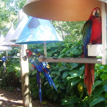 JUNGLE ISLAND - Updated August 2025 - 1298 Photos & 533 Reviews - 1111 ...