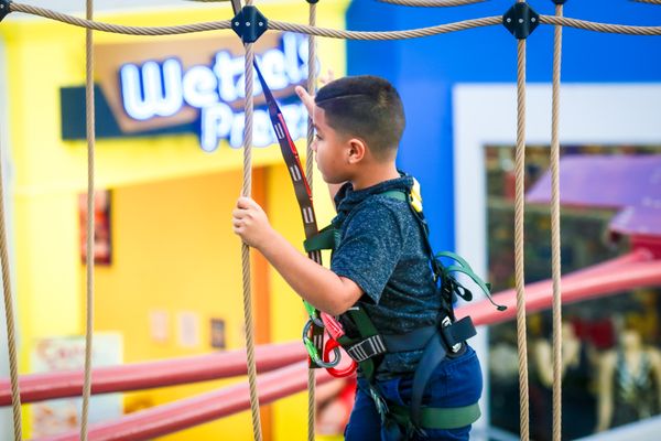 SECTOR SIXTY6 - Updated December 2025 - 80 Photos - 18400 Roberto ...