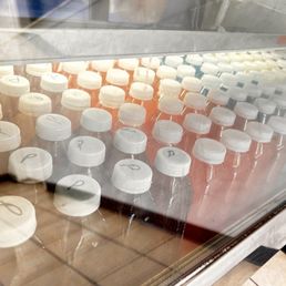 PLATTAKING - Updated July 2025 - 57 Photos & 30 Reviews - 5514 Belair ...