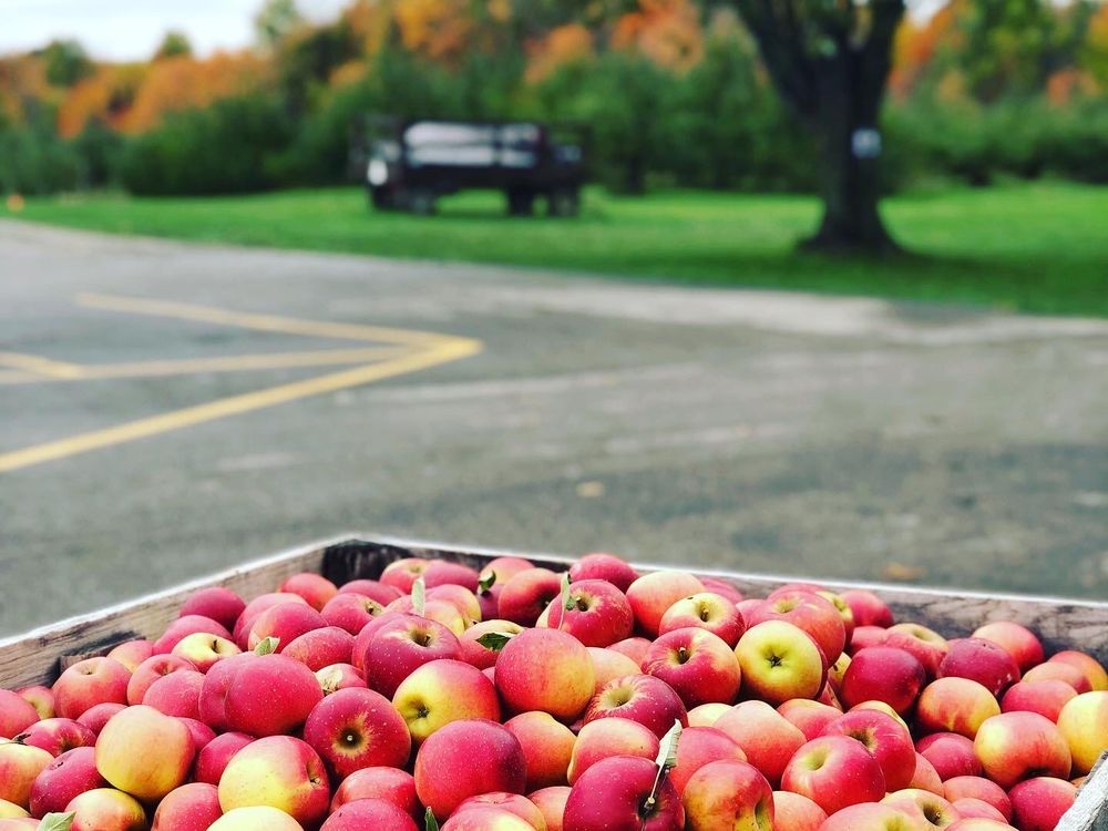 BRANT’S APPLE ORCHARD - Updated September 2025 - 19 Photos & 20 Reviews ...