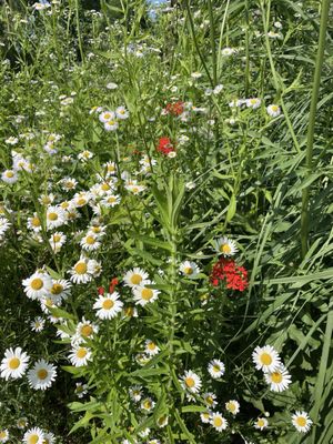 SAKONNET GARDEN - Updated June 2026 - 27 Photos - 510 W Main Rd, Little ...