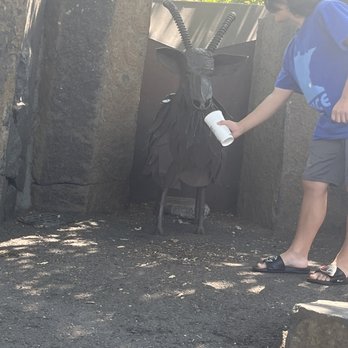 GARBAGE GOAT - Updated July 2025 - 25 Photos & 53 Reviews - 507 N ...