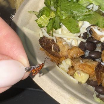 CHIPOTLE MEXICAN GRILL - Updated December 2025 - 57 Photos & 112 ...