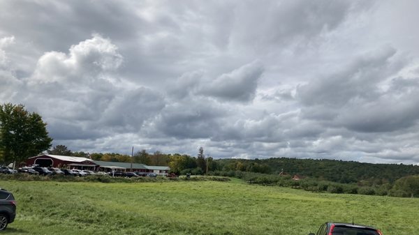 ROCKY RIDGE ORCHARD - Updated July 2025 - 46 Photos & 27 Reviews - 38 ...