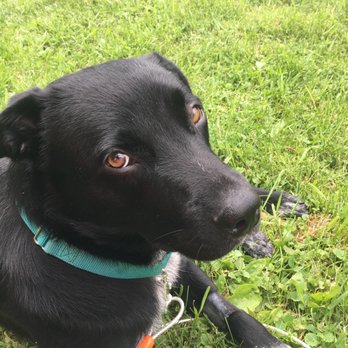 WISCONSIN HUMANE SOCIETY - OZAUKEE CAMPUS - Updated January 2026 - 21 ...