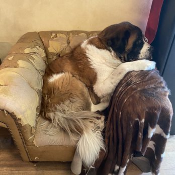 RED RIFLE - Updated June 2025 - 268 Photos & 363 Reviews - 1505 E Del ...