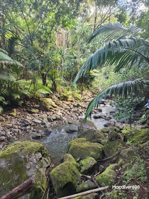 WAIMANO LOOP TRAIL - Updated January 2026 - 451 Photos & 90 Reviews ...