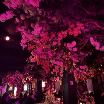 DOCKS OFF 5TH - Updated April 2025 - 263 Photos & 49 Reviews - 25 W ...