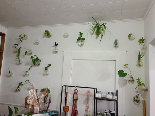 THE PLANT SHACK - Updated August 2024 - 41 Photos - 618 Main St, East ...