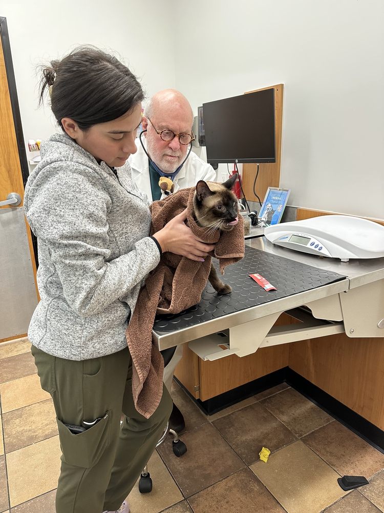 MASCOTA OF CORAL GABLES - Updated December 2025 - 3301 SW 22nd St ...