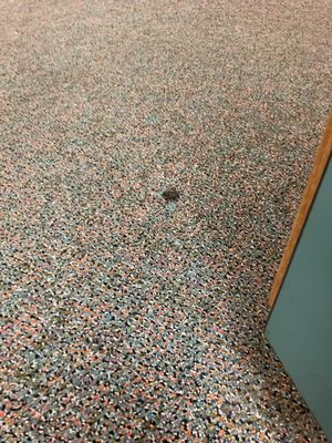 SPRINGFIELD YMCA - Updated November 2025 - 108 Photos & 64 Reviews ...