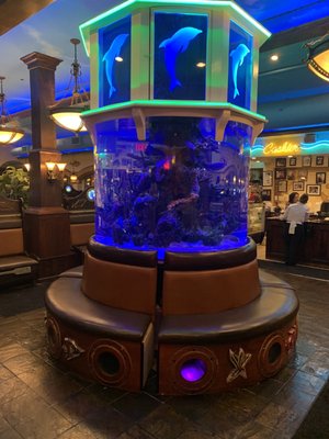 MARIETTA FISH MARKET - 581 Photos & 749 Reviews - Seafood - 3185 Canton ...