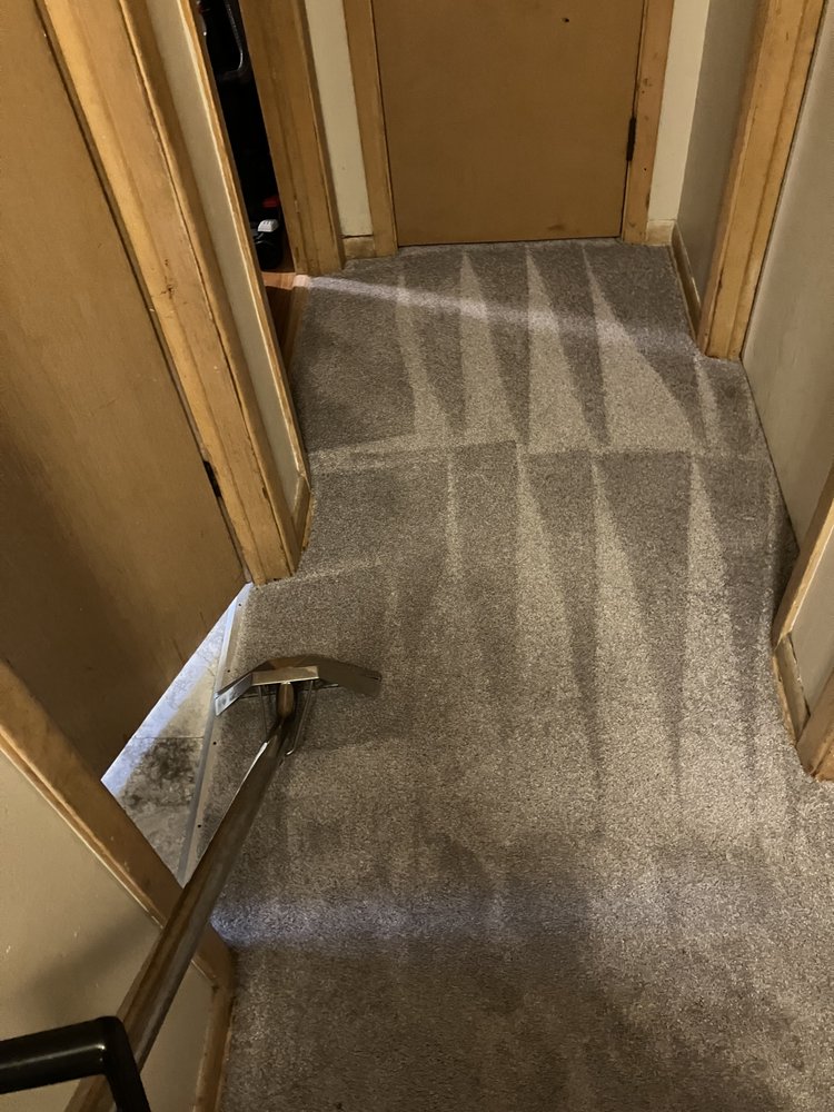 STATEWIDE CARPET CLEANERS - Updated October 2025 - Request a Quote - 11 ...