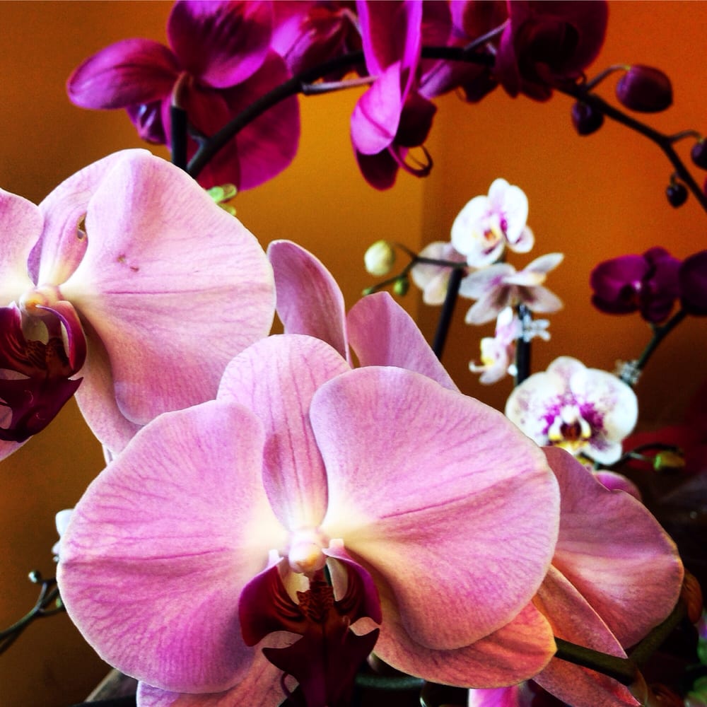 SEAN ST JOHN’S DESIGN STUDIO - 22 Photos - Los Angeles, California ...