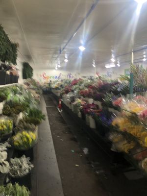 FLORA FRESH - Updated November 2024 - 35 Photos & 32 Reviews - 1127 Fee ...