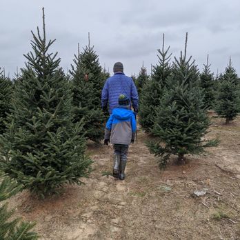 BADGER COUNTRY CHRISTMAS TREE FARM - Updated May 2026 - 16 Photos ...