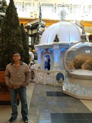 HAGGARD LIBRARY - Updated December 2025 - 34 Photos & 33 Reviews - 2501 ...