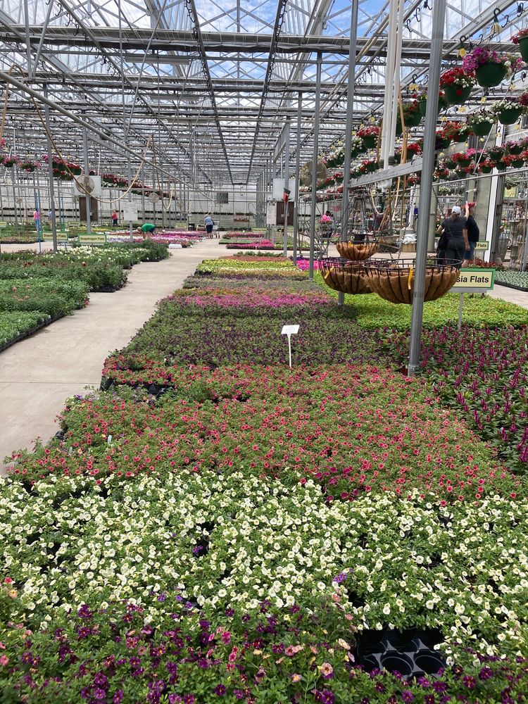 WOLDHUIS FARMS SUNRISE GREENHOUSE - Updated May 2025 - 59 Photos & 67 ...